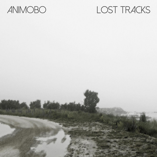 Lost Tracks - Album by Animobo | Spotify