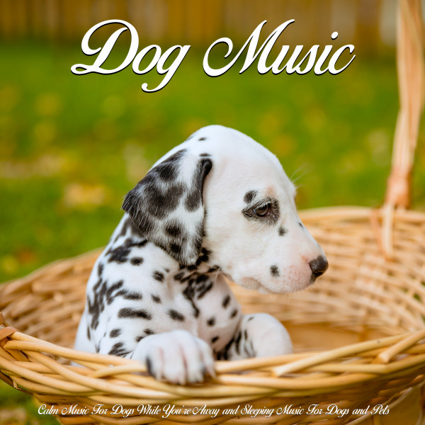 The Best Dog Music - song and lyrics by Dog Music, Music for Dog's Ears ...