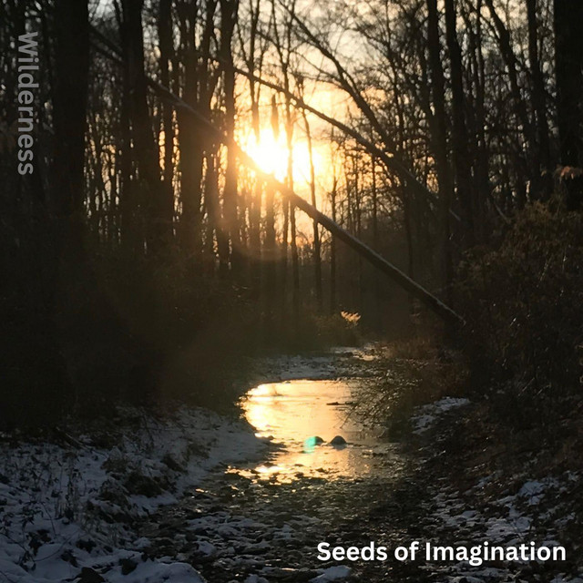 Persistence - song and lyrics by Seeds of Imagination | Spotify