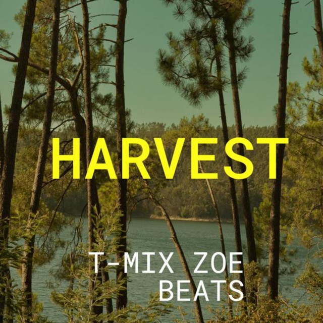 HARVEST - song by T-Mix Zoe Beats | Spotify