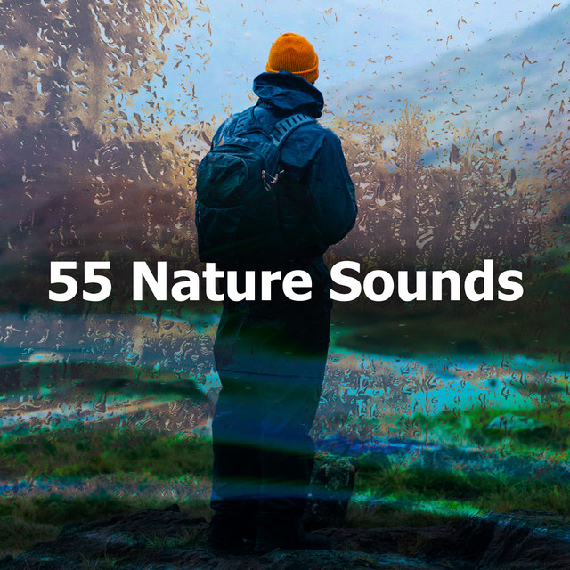 55 Nature Sounds - Album by Nature and Rain | Spotify