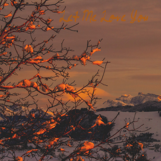 Let Me Love You - Single by Sky Lew | Spotify
