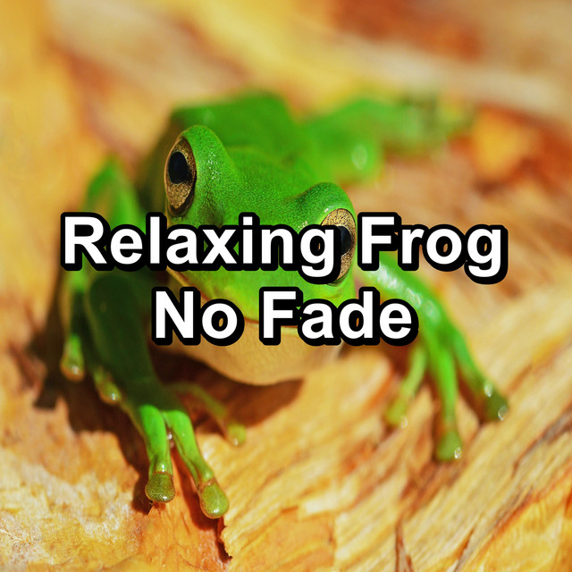 Relaxing Frogs in the Morass Sounds - song and lyrics by Nature Sounds ...