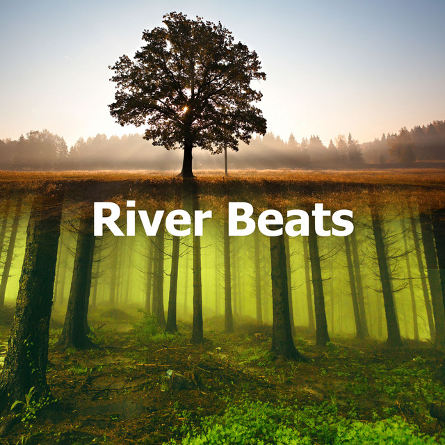 River Beats - Album by Forest Sounds | Spotify
