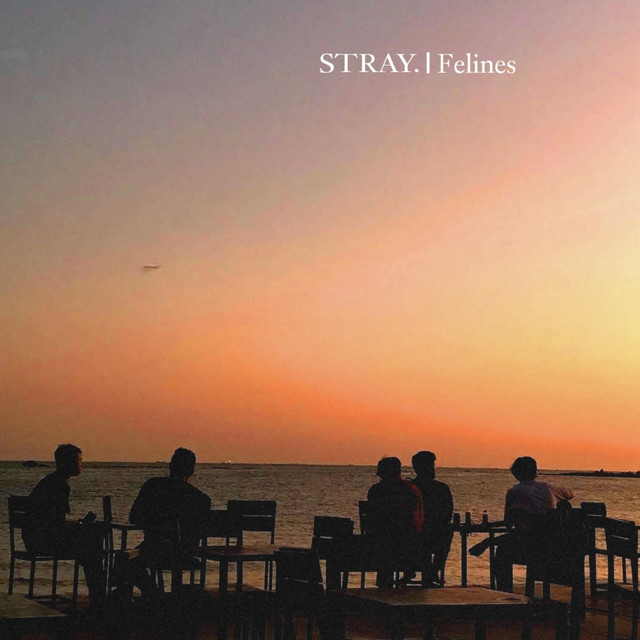 Stray. - song and lyrics by Felines. | Spotify