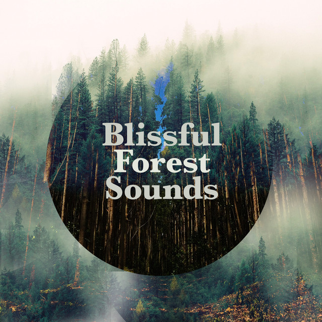 Blissful Forest Sounds ! ! ! ! - Album by Forest Sounds | Spotify