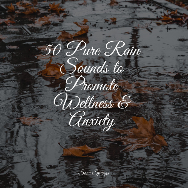 50 Pure Rain Sounds to Promote Wellness & Anxiety - Album by Sons da ...