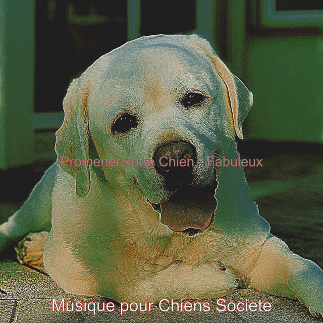 Promener votre Chien - Fabuleux - Album by Musique pour Chiens Société ...
