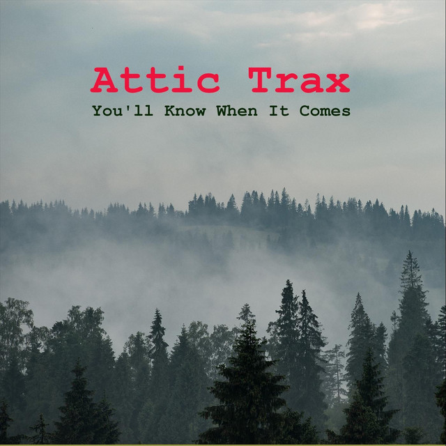 You'll Know When It Comes - Single by Attic Trax | Spotify