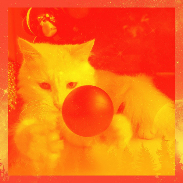 Latin Trumpet - Ambiance for Calming for Cats - Album by Soothing Cat ...