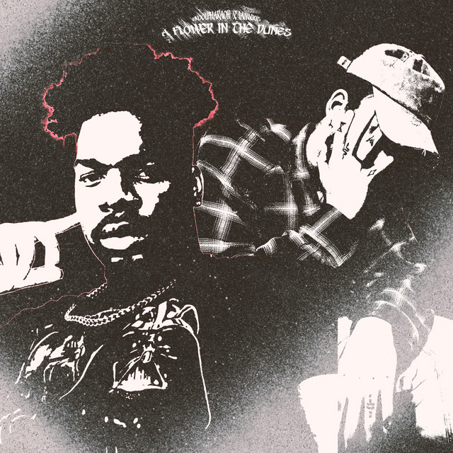 A FLOWER IN THE DUNES - Single by Dkoolpharaoh | Spotify