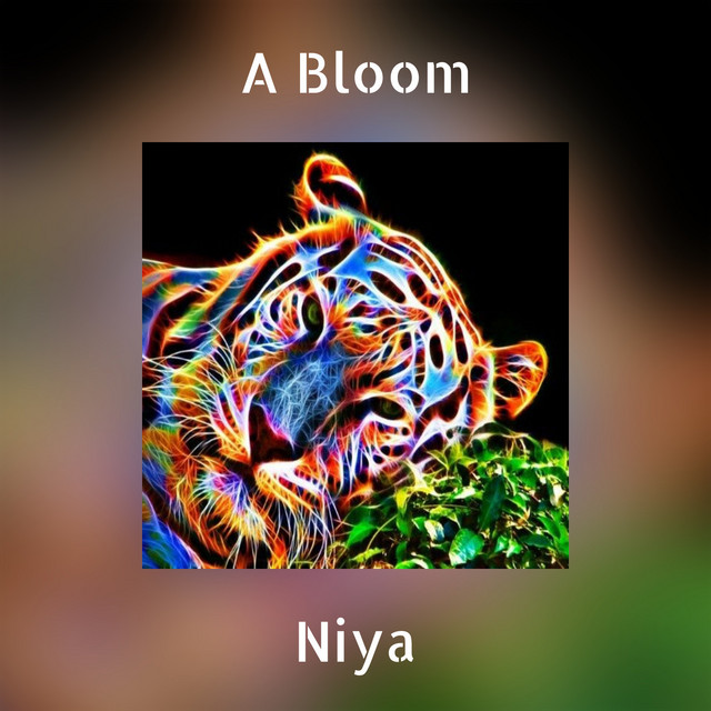 Niya - Songs, Events and Music Stats | Viberate.com