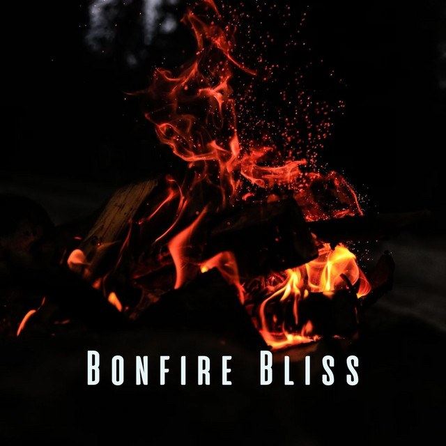 Bonfire Bliss: Soothing Fire Sounds for Pets' Calmness - Album by ...