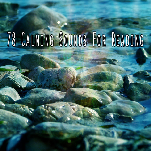78 Calming Sounds For Reading - Album by Yoga | Spotify