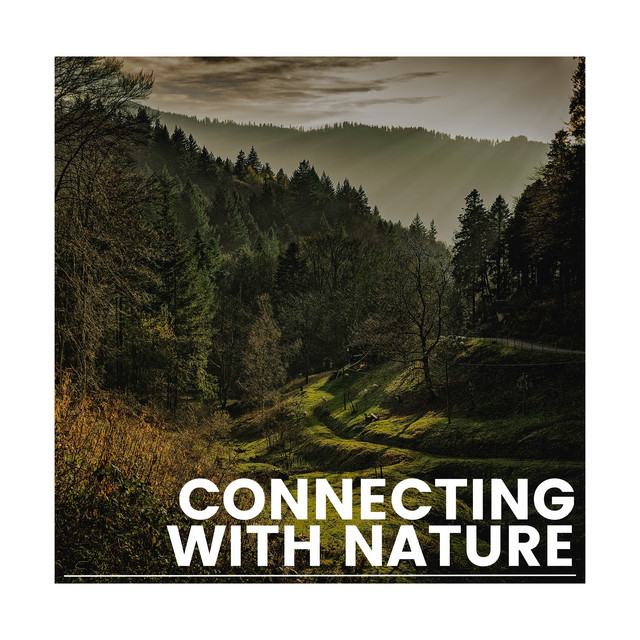 Connecting with Nature - Album by Elements of Nature | Spotify