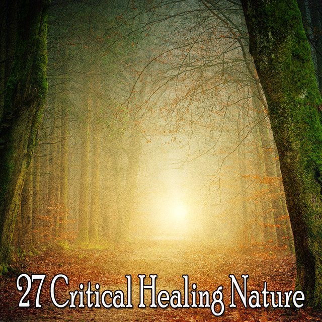 27 Critical Healing Nature - Album by Mother Nature Sound FX | Spotify