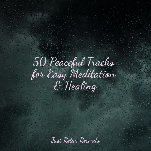 50 Peaceful Tracks for Easy Meditation & Healing - Album by Yoga Music ...