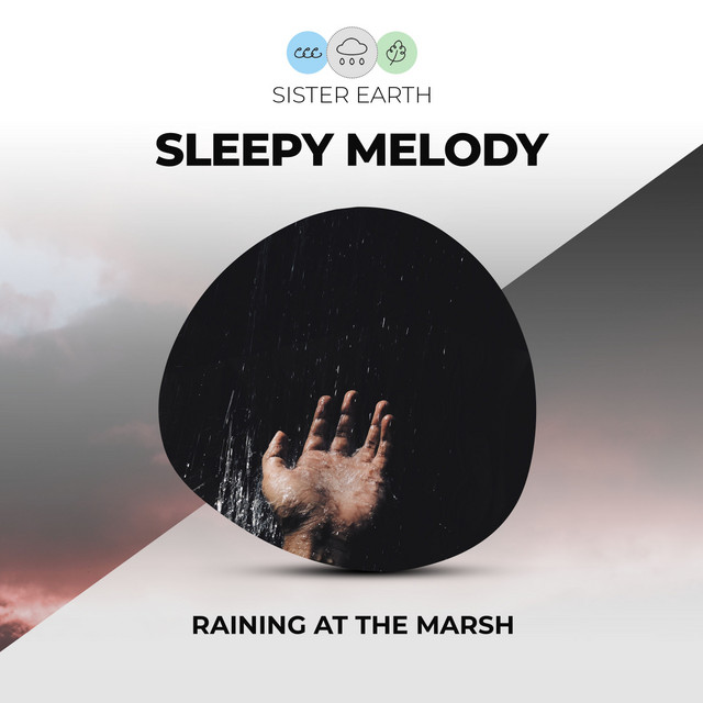 Sleepy Melody Raining at the Marsh - Album by Rain for Deep Sleep | Spotify