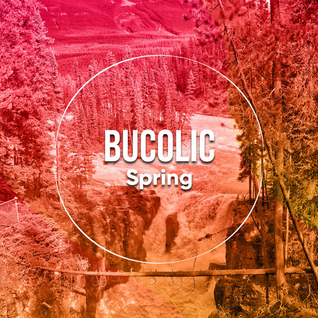 Bucolic Spring, Vol. 4 - Compilation by Various Artists | Spotify
