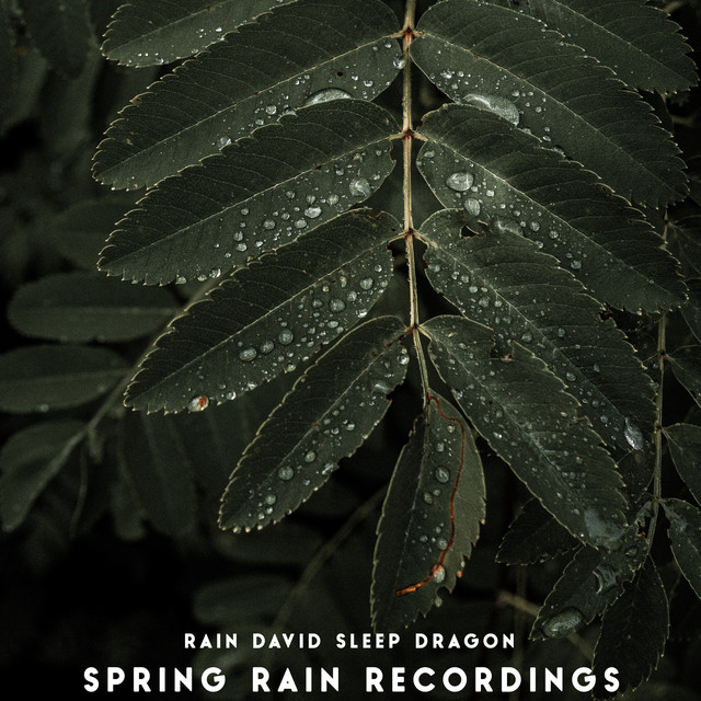 Spring Rain Recordings - Album by Rain David Sleep Dragon | Spotify