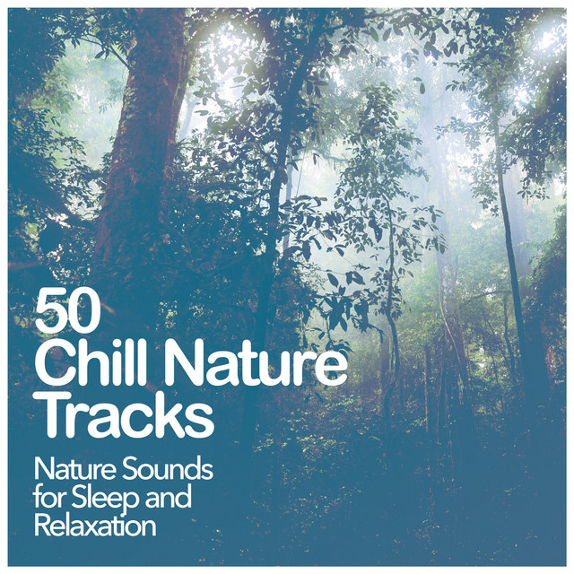 50 Chill Nature Tracks - Album by Nature Sounds for Sleep and ...