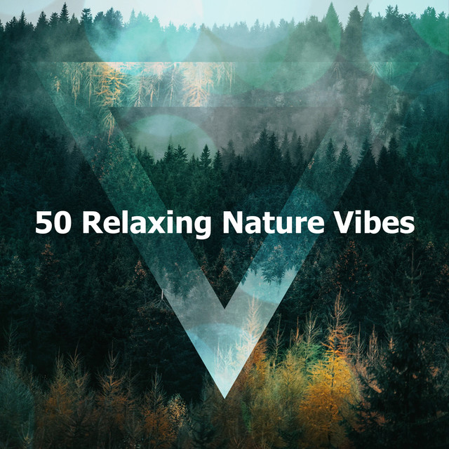 50 Relaxing Nature Vibes - Album by Relaxing Nature Ambience | Spotify