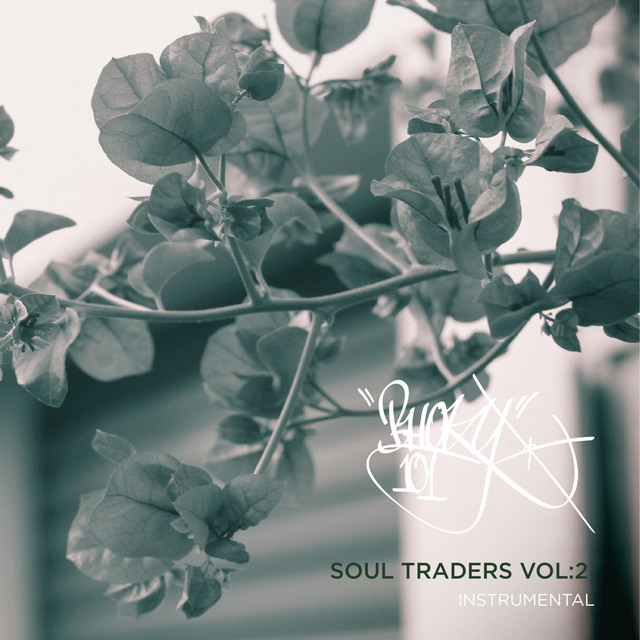 Soul Traders Vol:2 Instrumental - Album by Bhoky101 | Spotify