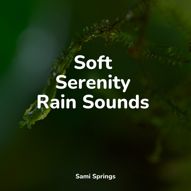 Soft Serenity Rain Sounds - Album by Tranquility Spa Universe | Spotify