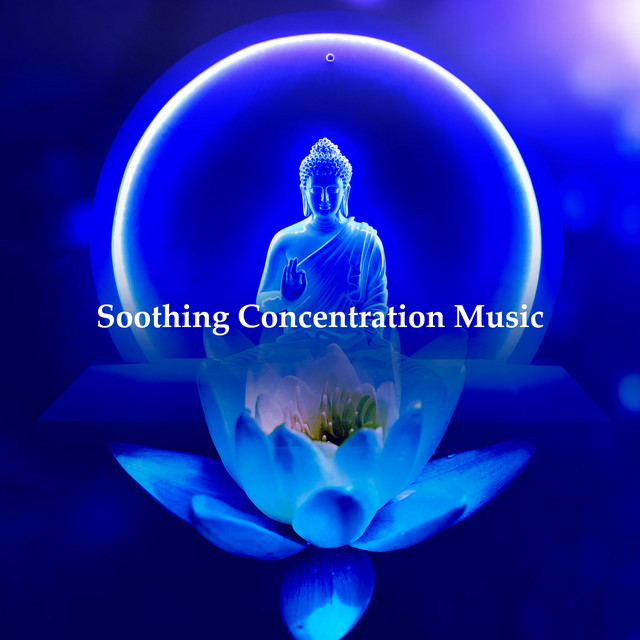 Dreaming Insight - song by Meditators | Spotify
