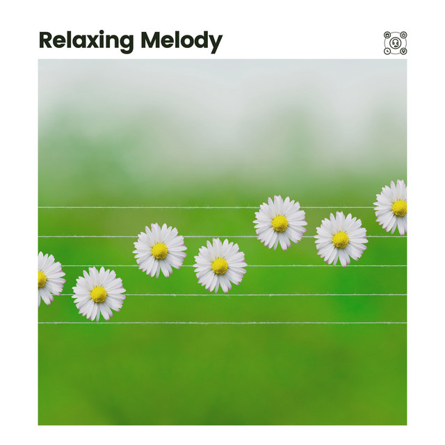 Stress Relief Music, Pt. 9 - song and lyrics by Anti Stress | Spotify