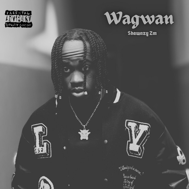 Wagwan Freestyle - Single by Shawnzy Zm | Spotify