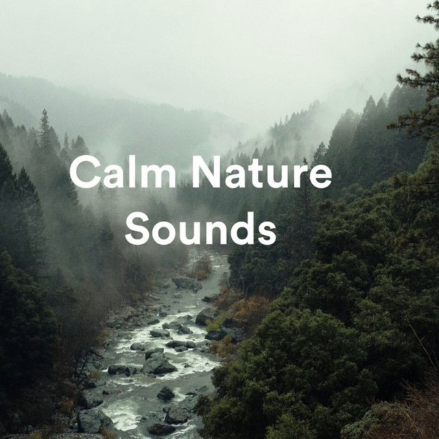 Calm Nature Sounds - Album by Soft Soundscapes | Spotify