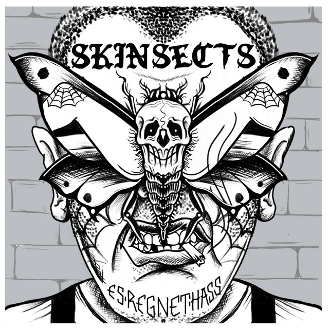 Skinsects Concert & Tour History (Updated for 2023) | Concert Archives