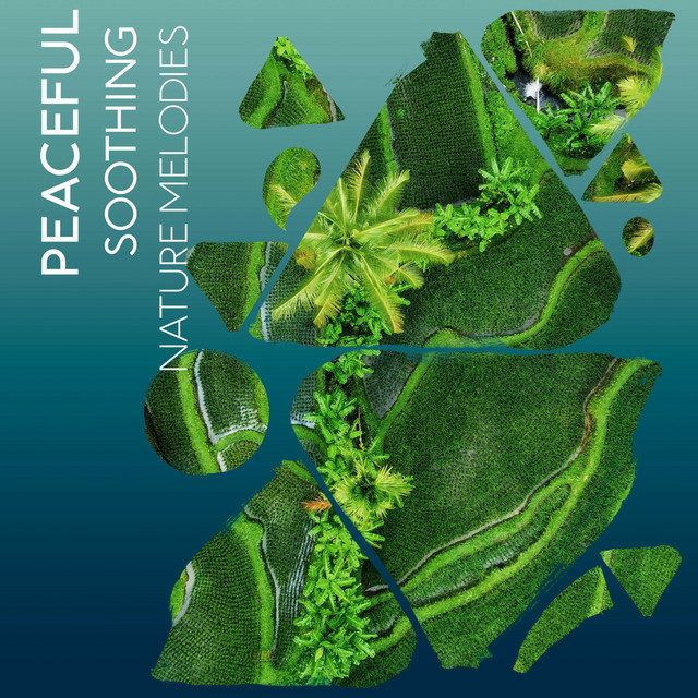 Peaceful Soothing Nature Melodies - Album by Rest & Relax Nature Sounds ...