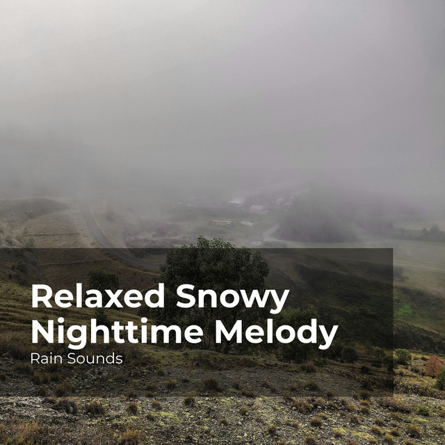 Relaxed Snowy Nighttime Melody - Album by Rain Sounds | Spotify