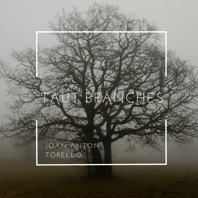 Taut Branches - Single by Joan Anton Torelló | Spotify