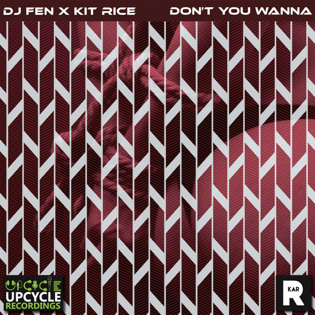 Don't You Wanna - Single by DJ Fen | Spotify