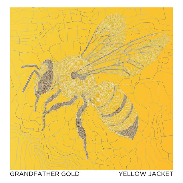 Yellow Jacket - song and lyrics by Grandfather Gold | Spotify