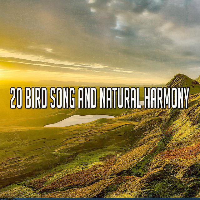 20 Bird Song And Natural Harmony - Album by Nature Sounds Nature Music ...