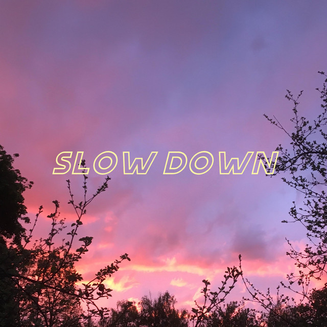 Slow Down - song and lyrics by Charlie Frecka | Spotify