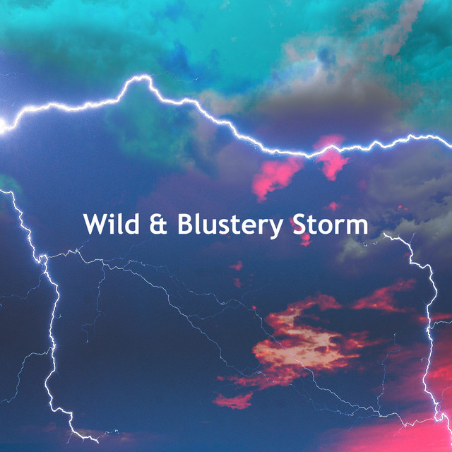 Wild & Blustery Storm - Album by Stormy Station | Spotify