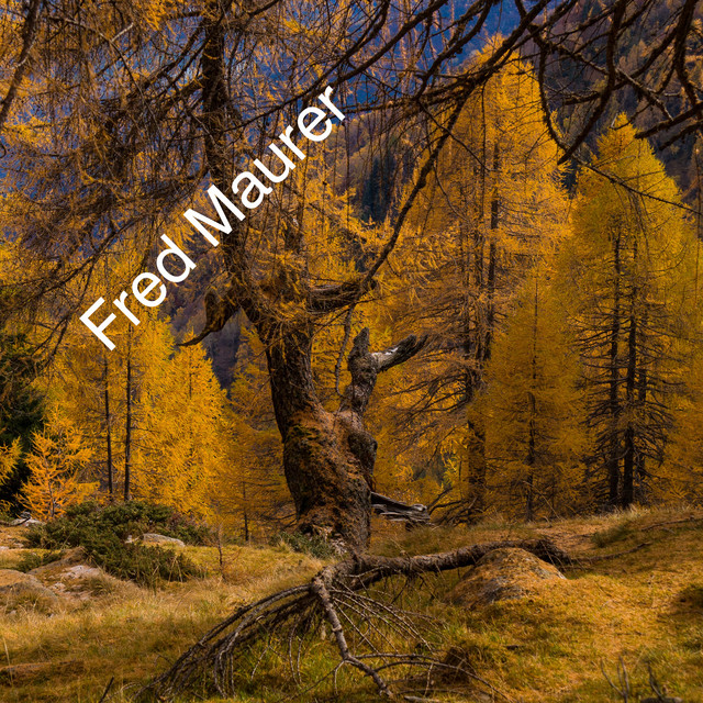 Der Bruch im Leben - Album by Fred Maurer | Spotify