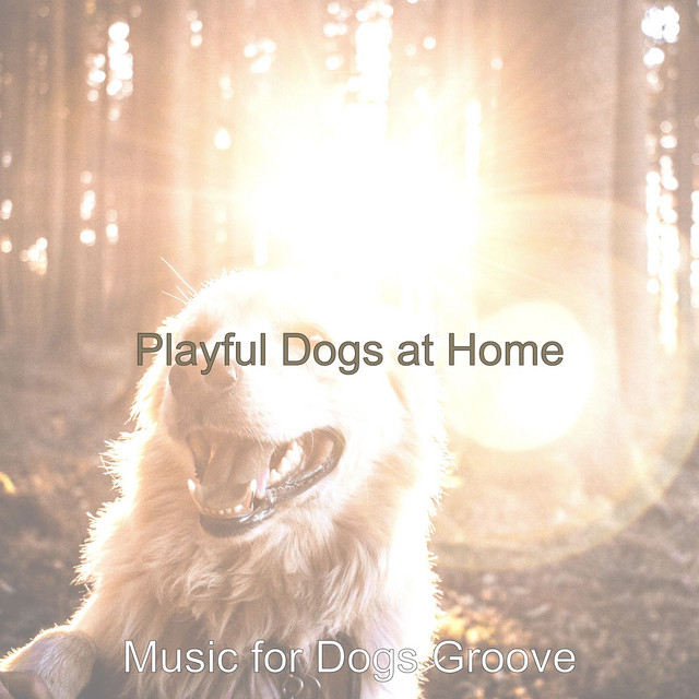 Music for Dogs Groove | Spotify