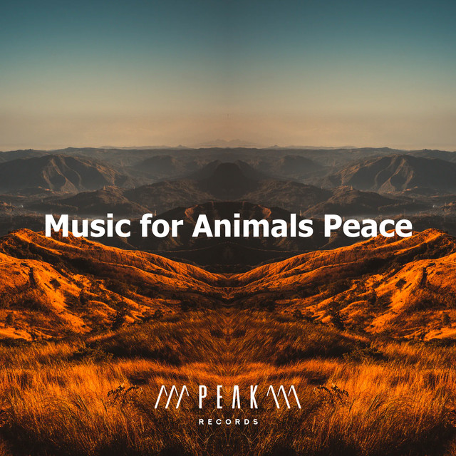 Music for Animals Peace - Album by Music for Cats Peace | Spotify