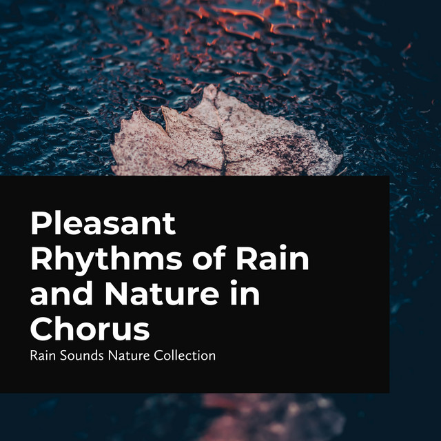 Pleasant Rhythms of Rain and Nature in Chorus - Album by Rain Sounds ...