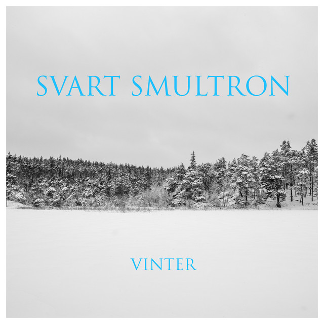 Vinter - Single by Svart Smultron | Spotify