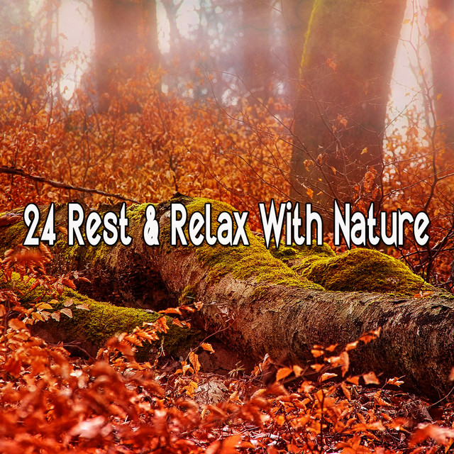 24 Rest & Relax With Nature - Album by Forest Sounds | Spotify