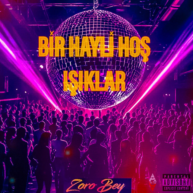 Bir Hayli Hoş Işıklar - song by Zoro Bey | Spotify