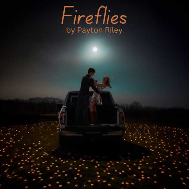 Fireflies - Single by Payton Riley | Spotify