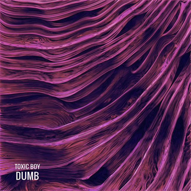 Dumb - Single by Toxic Boy | Spotify
